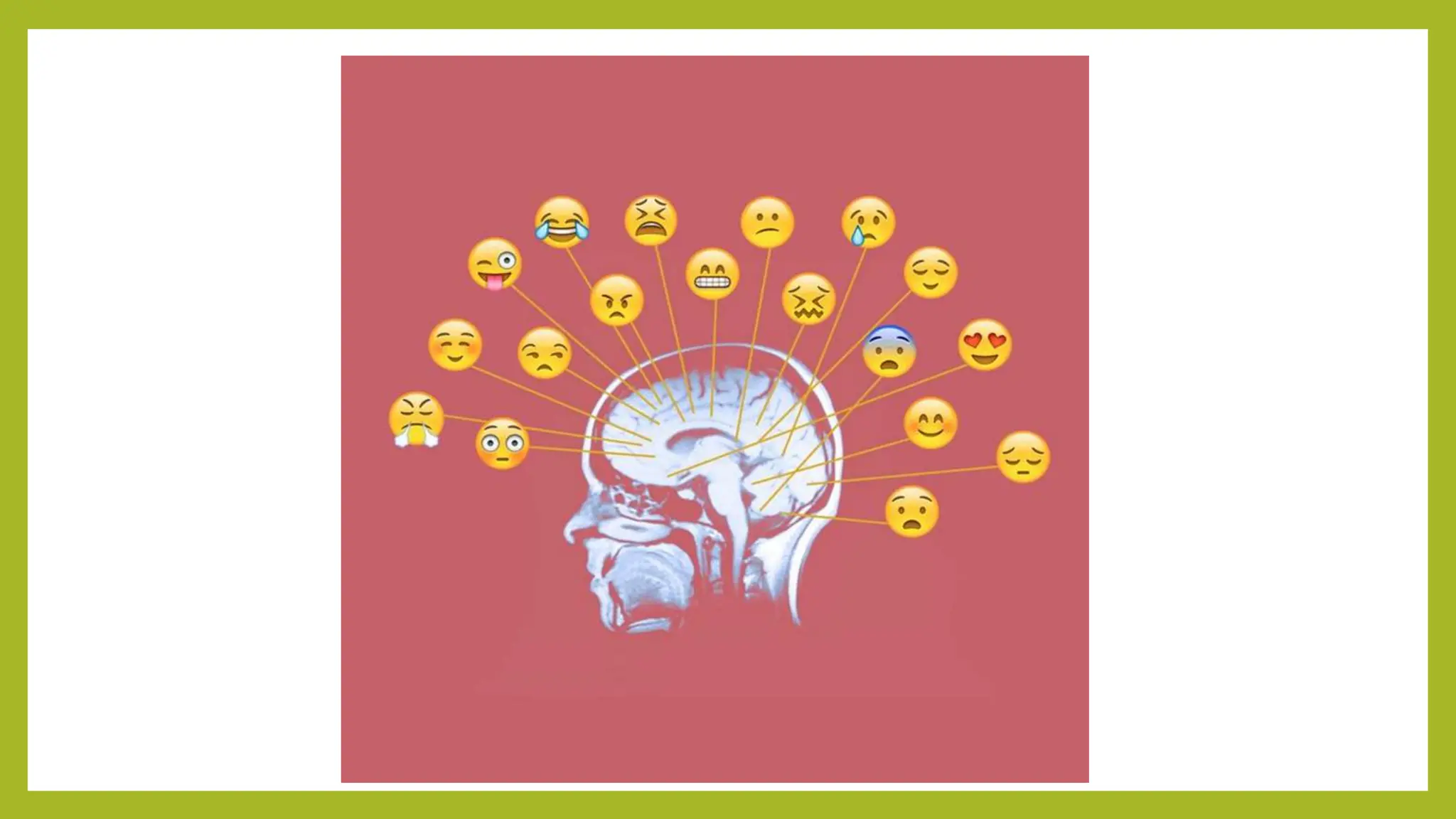 IMPORTANCE OF HUMANS Emotions final.pptx