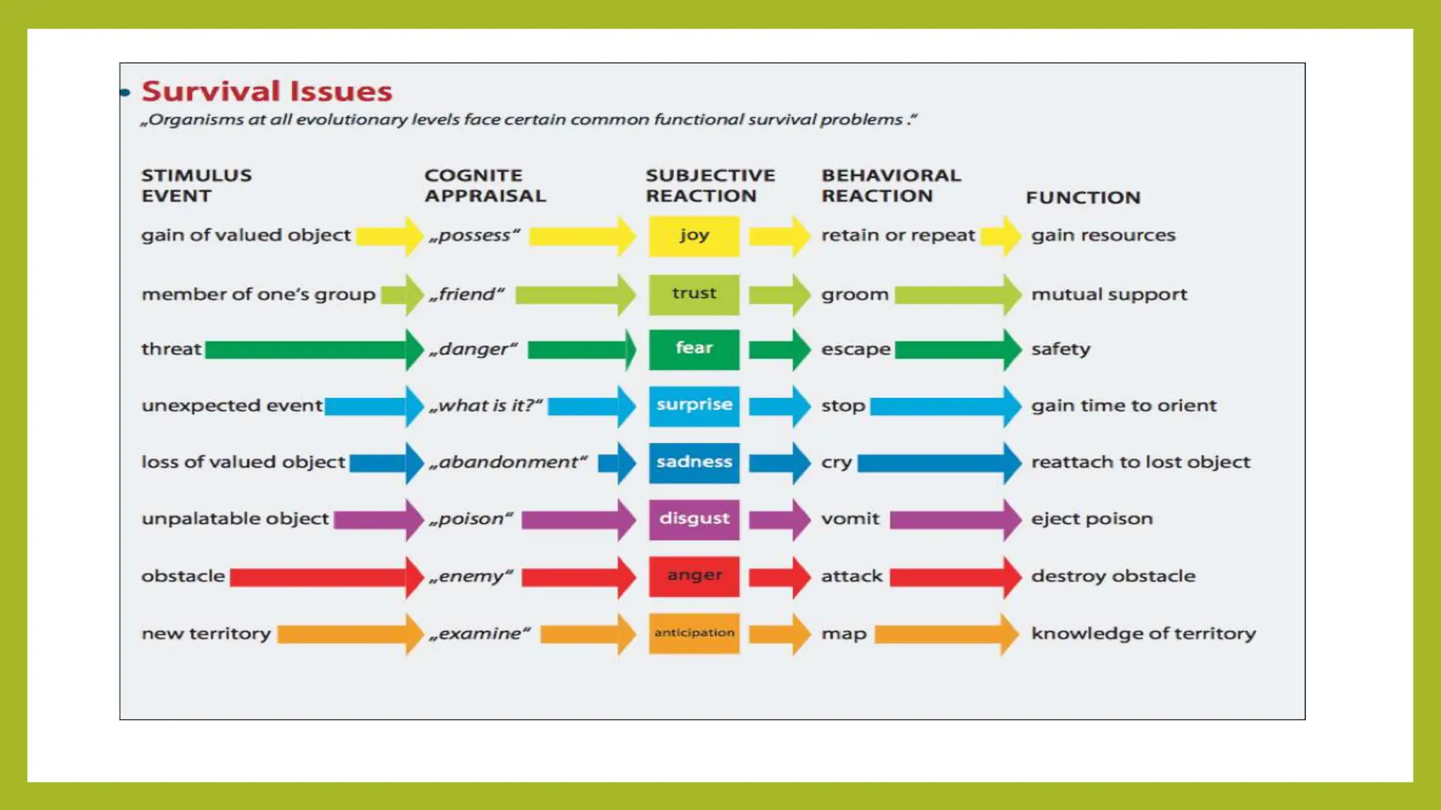IMPORTANCE OF HUMANS Emotions final.pptx