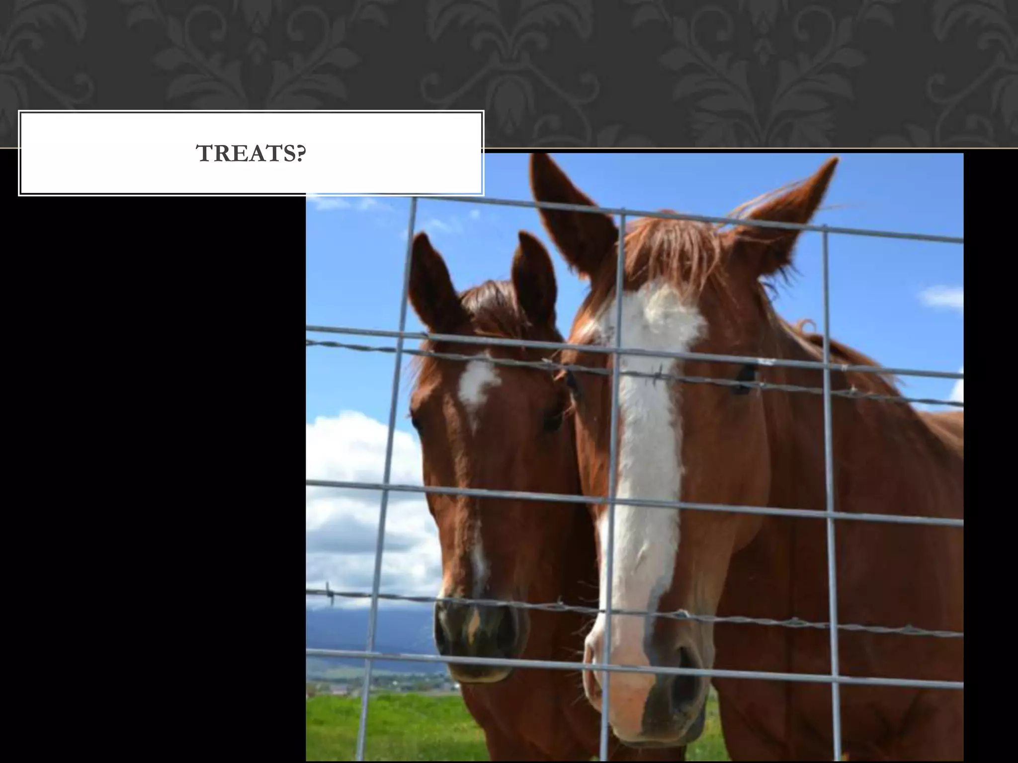 Emotion slideshow | PPT