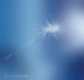 Emotions Running High......ever wondered what 40 million emotional ...