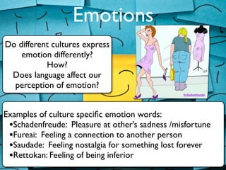 Emotions 1: Introduction to rage faces | KEY