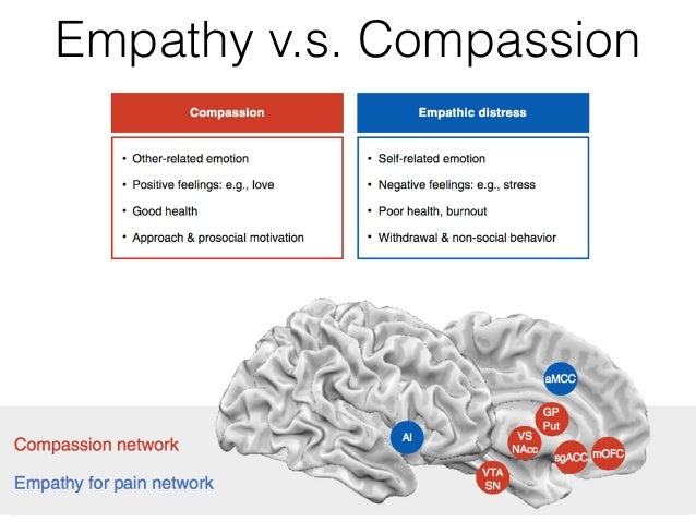Empathy and Brain