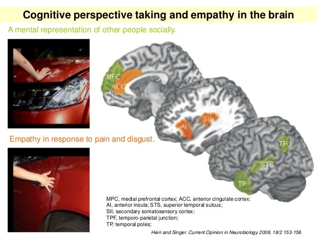 Empathy Brain Scan
