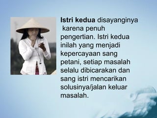 Empat istri versi wismp | PPT