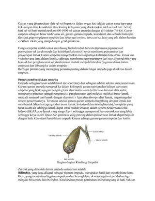 Empedu berfungsi untuk mengemulsikan lemak | PDF
