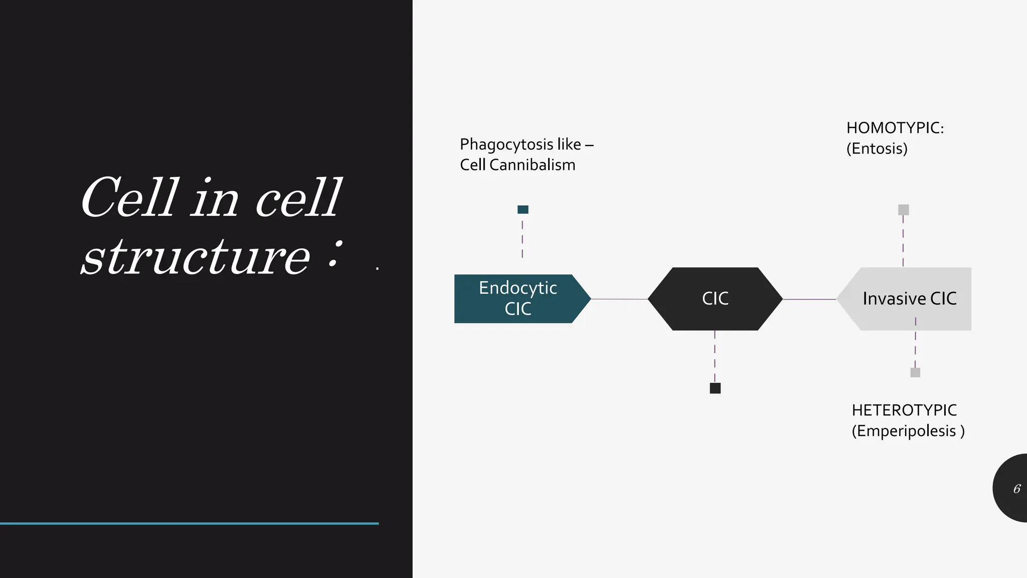 Emperipolesis , Entosis , Cell Cannibalism main.pptx