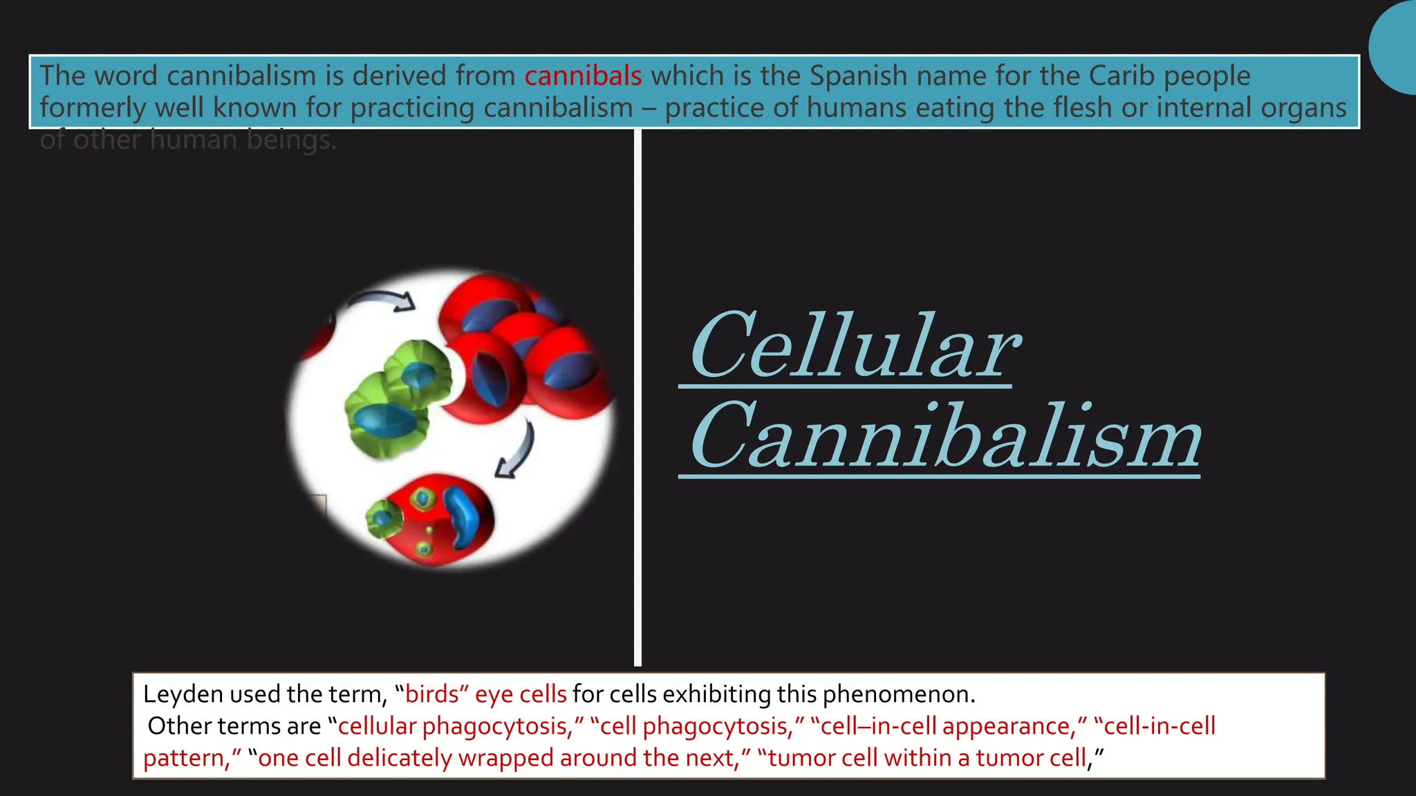 Emperipolesis , Entosis , Cell Cannibalism main.pptx
