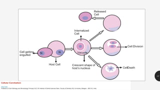 Emperipolesis , Entosis , Cell Cannibalism main.pptx
