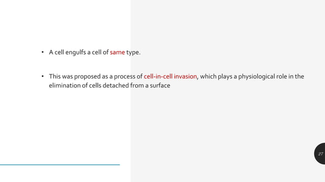Emperipolesis , Entosis , Cell Cannibalism main.pptx | Cancer ...