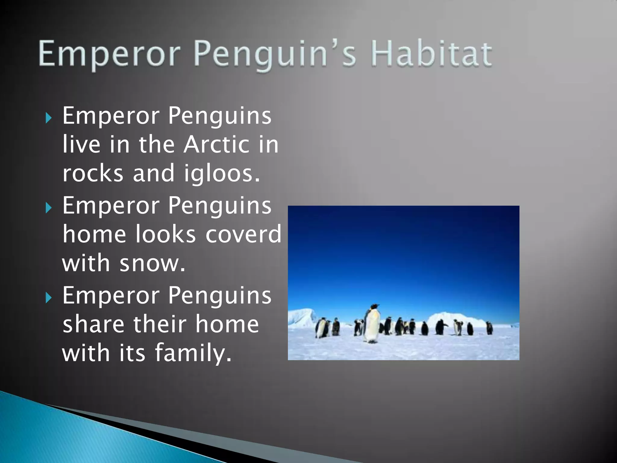 Emperor penguin | PPTX
