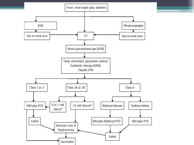 EMPHYSEMATOUS PYELONEPHRITIS | PPT