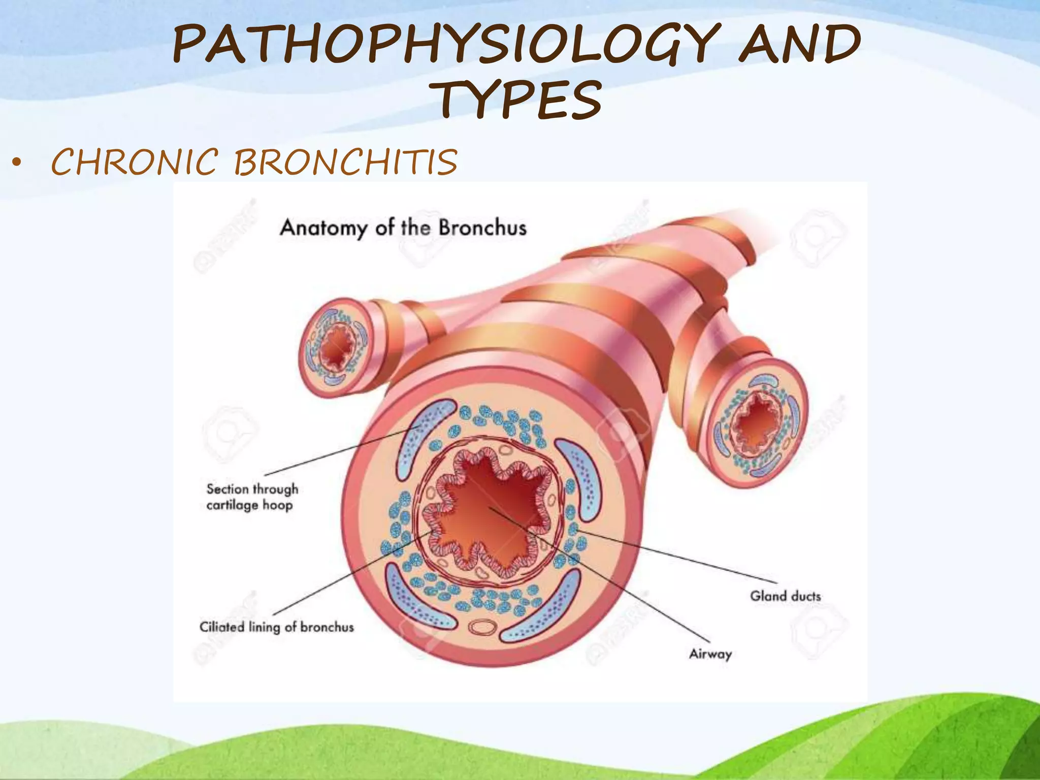 COPD (chronic obstructive pulmonary disease) | PPTX