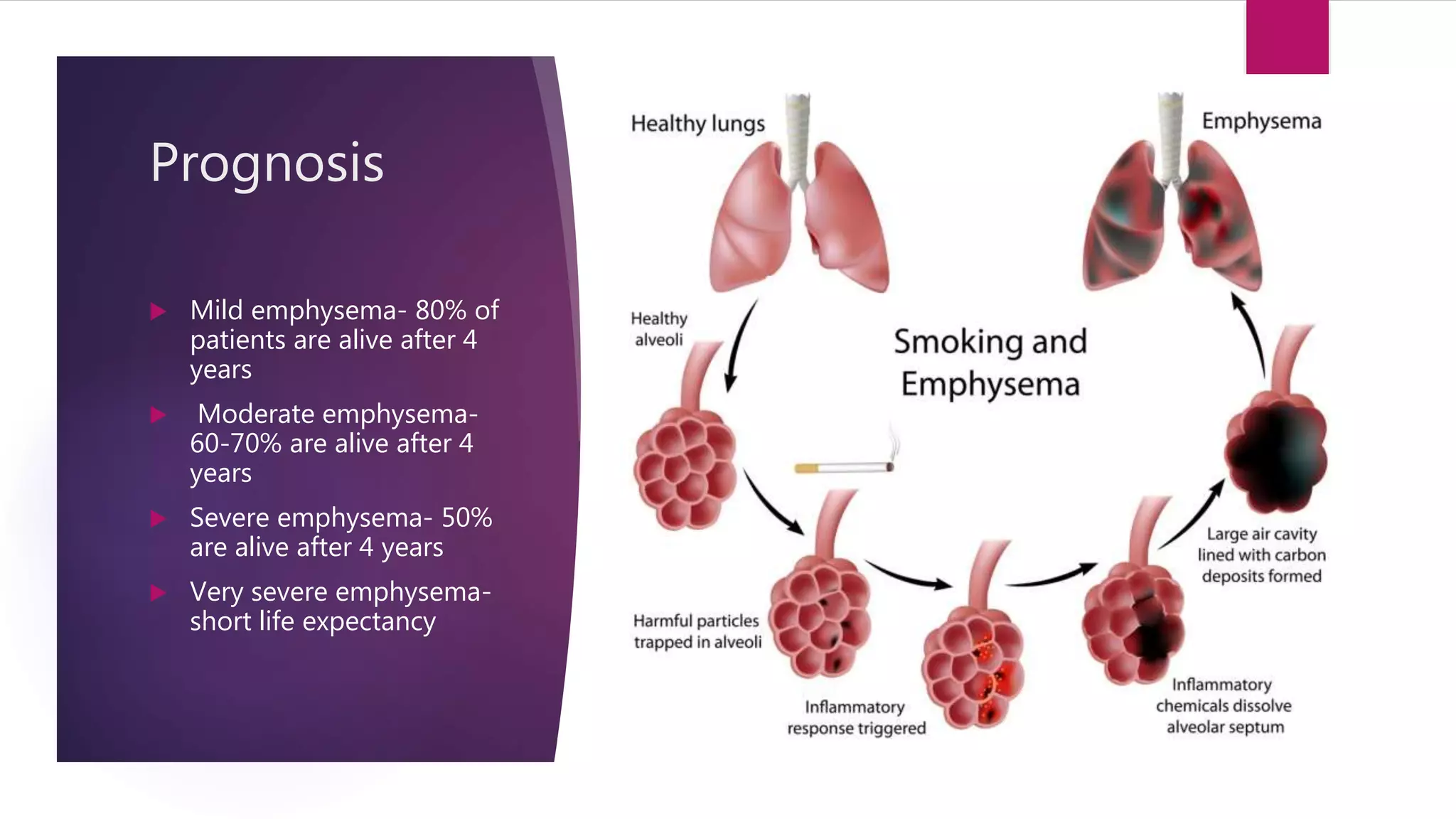 Emphysema and chronic bronchitis | PPT