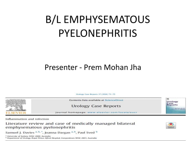Emphysematous pyelonephritis | PPTX