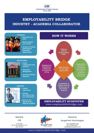 Employability Bridge Overview | PDF