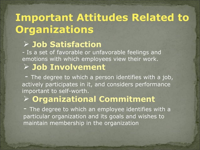Employee Attitude And Their Effects | PPT | Human Resources | Business