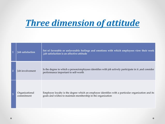 Employee Attitudes And Their Effects | PowerPoint Presentation | PPTX