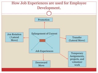 employee development.pptx