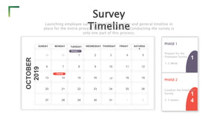 Employee engagement survey | PPTX