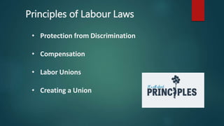 Employee Relation and Labor Law in professional practices.pptx