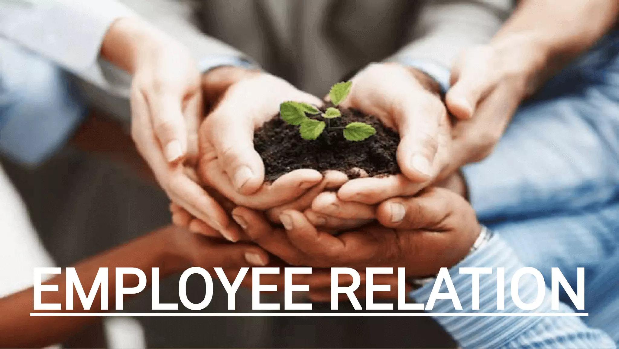 Employee Relationship of GSK Bangladesh ltd. | PPT