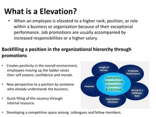 Employee Retention and Promotion in the Travel Industry.pptx