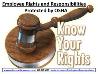 Employee rights & responsibilities protected by osha | PDF