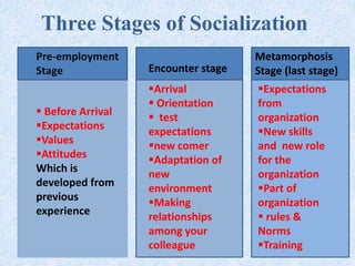 Employees socialization | PPTX