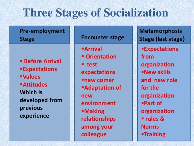 Employees socialization