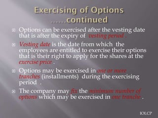 Employees Stock Options | PPT