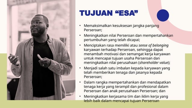 Employee Stock Allowance. example pptx | PPT