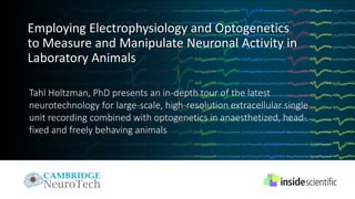 Employing Electrophysiology and Optogenetics to Measure and Manipulate ...