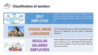 Employment - Growth, Informalisation and other issues | PPTX