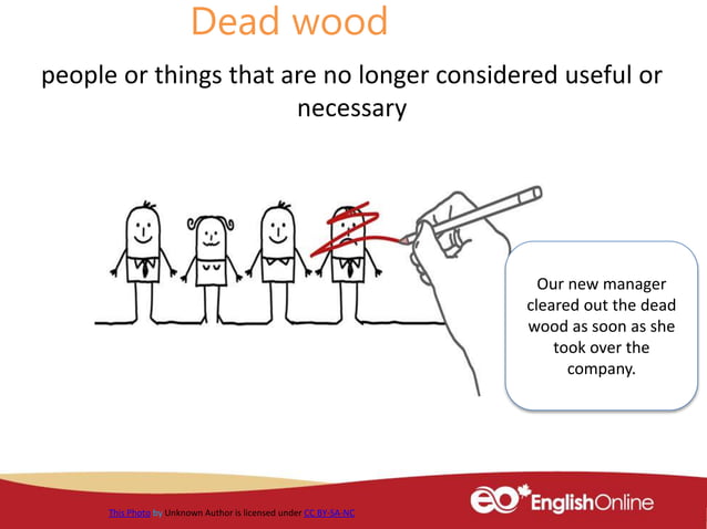 Employment job idioms | PPTX | Career Advice | Careers