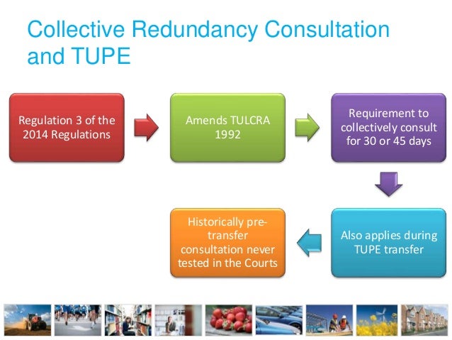 Employment Law Update: essential updates and practical guidance for e…