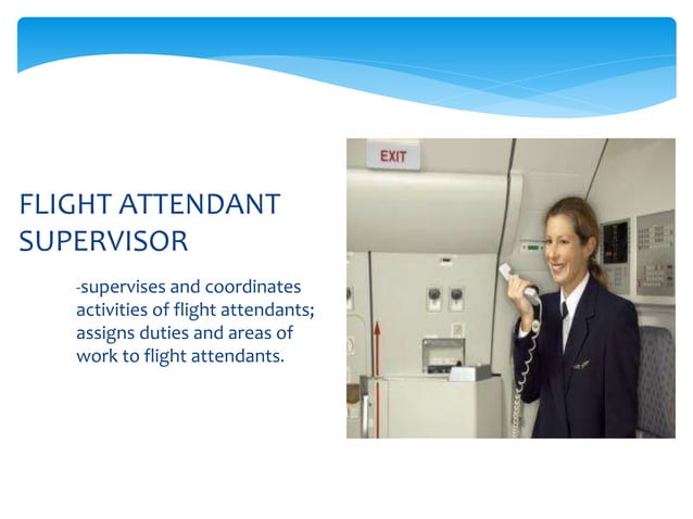 Employment opportunities in tourism | PPTX