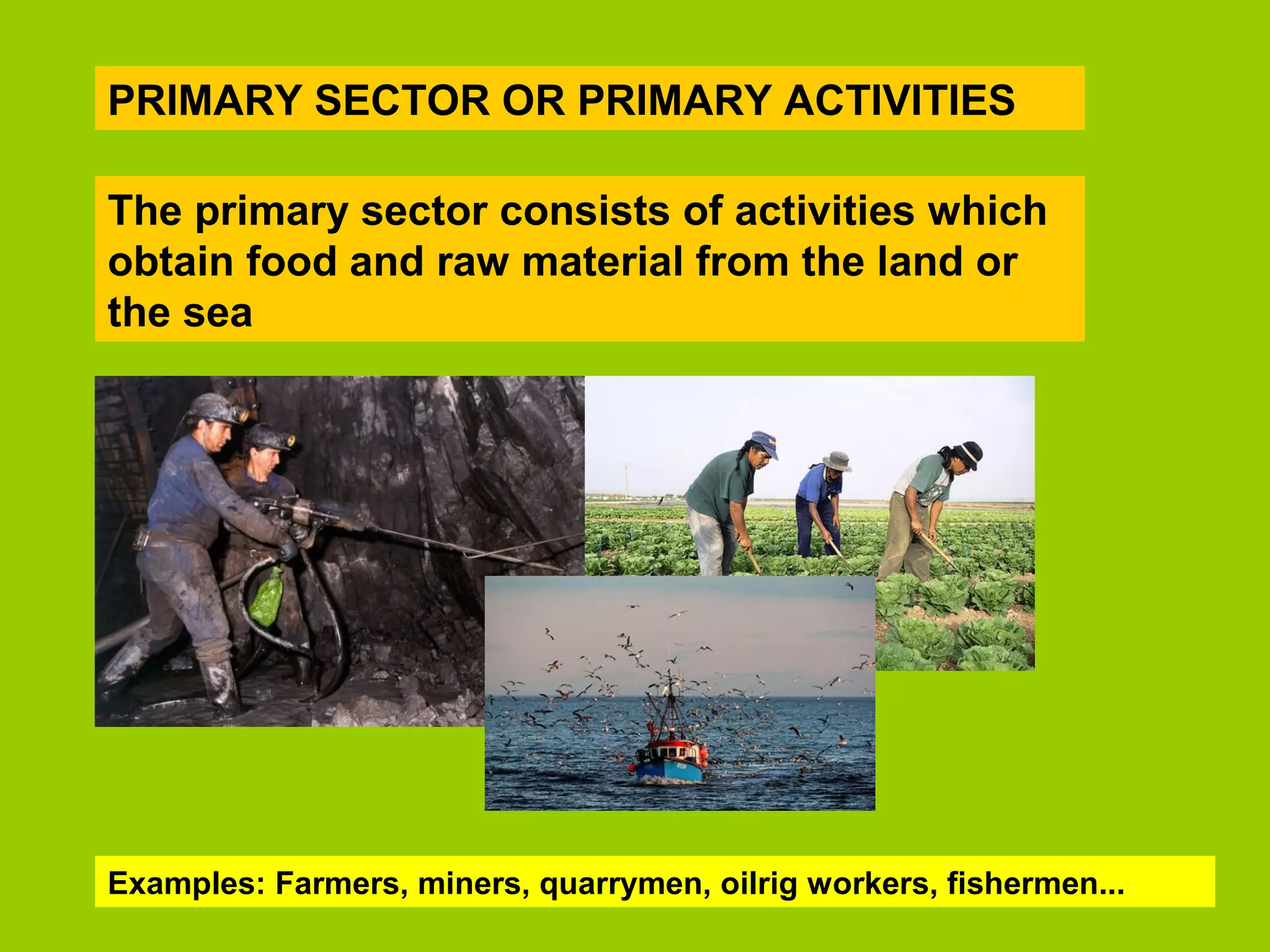 Employment structures | PPT