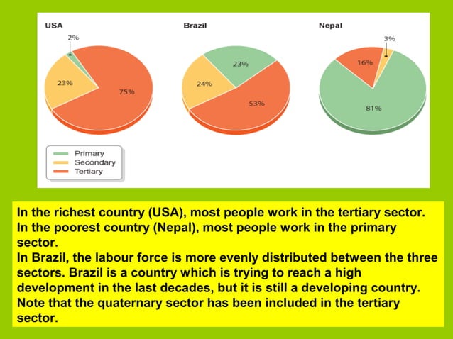 Employment structures | PPT