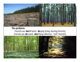 Empowering commercial forestry (1) | PPT