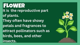 Introduction of Agricultural Crop and P | PPTX