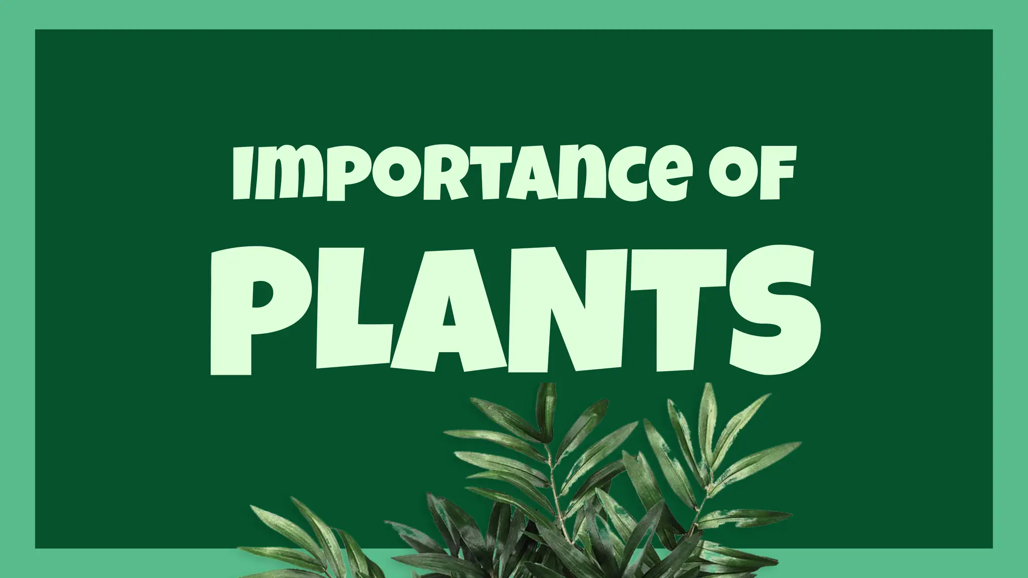 Parts of plants and importance of plants | PPTX