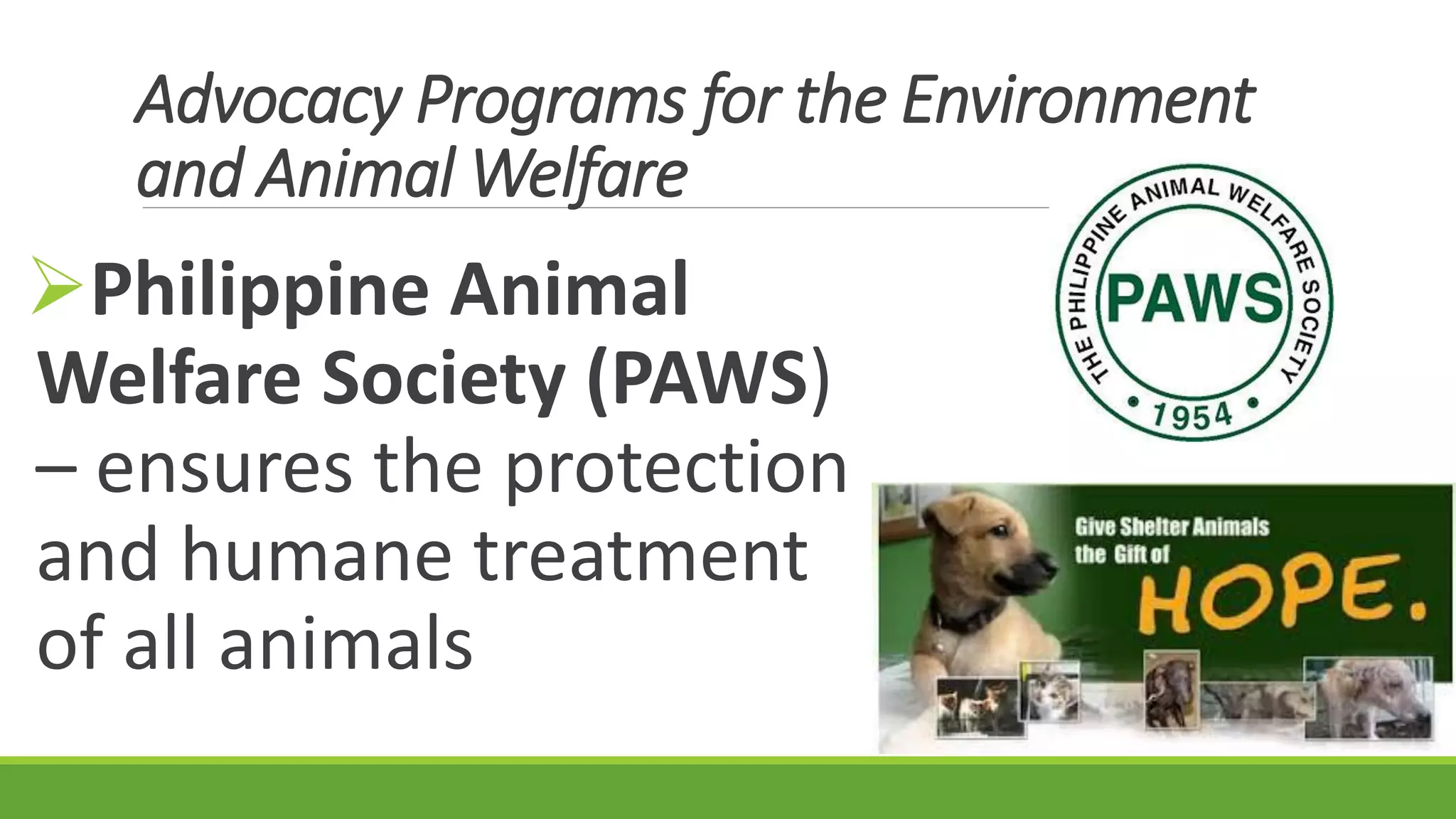 EMPOWERMENT AND ADVOCACY Presentation.pdf