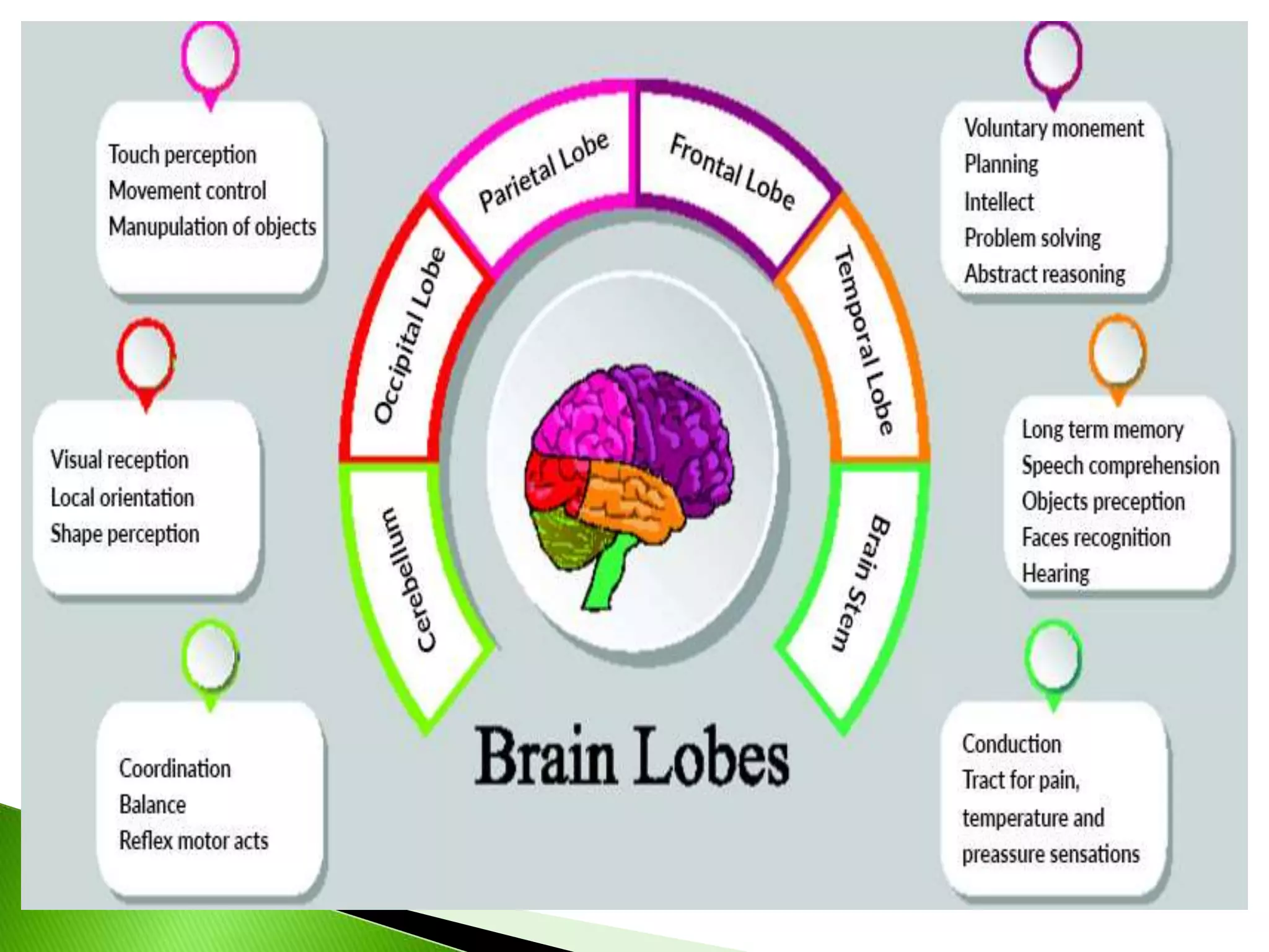 Empowerment Of Cognitive Mental Health Skills.pptx | Free Download