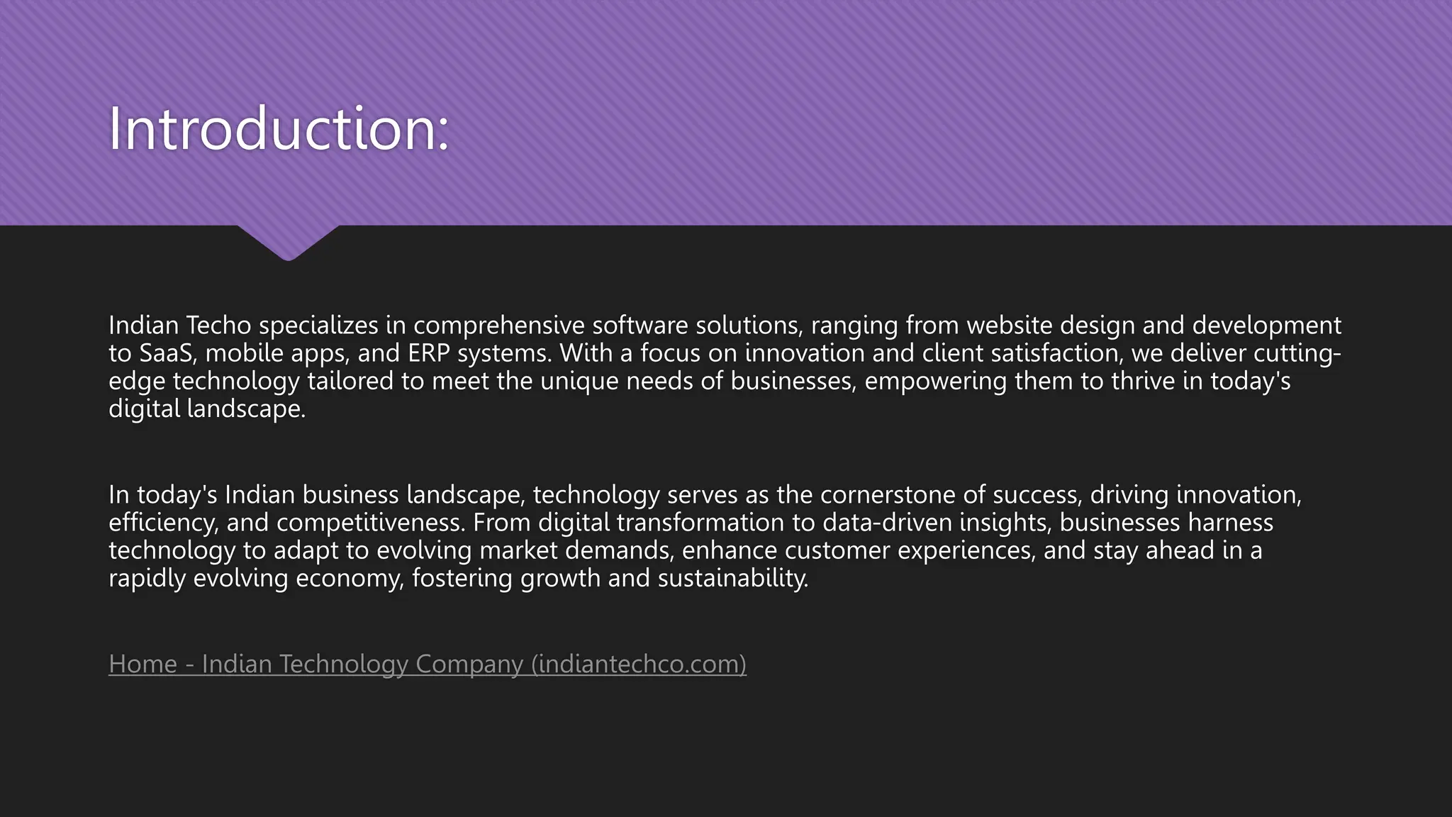 Empower Your Business with Innovative Software Solutions Indian techo PPT 1.pptx