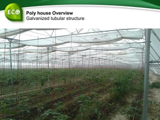 Environmental Management - Polyhouse | PPT | Agriculture | Industries