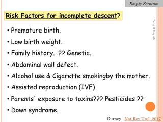 Empty scrotum tutorial | PDF