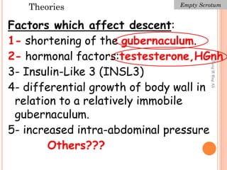Empty scrotum tutorial | PDF