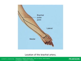 Brachial Pulse Point