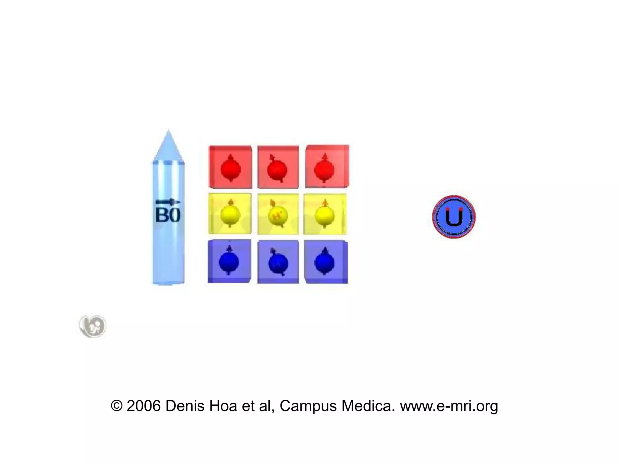 E mri spatialencoding_slides | PPT