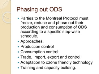 ozone depletion and business | PPTX